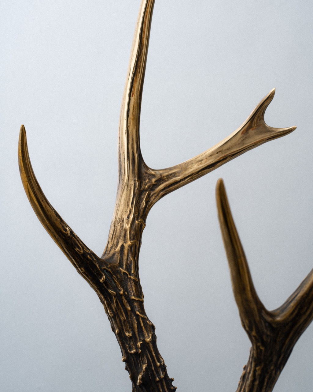 HEDI XANDT — Saturnalia