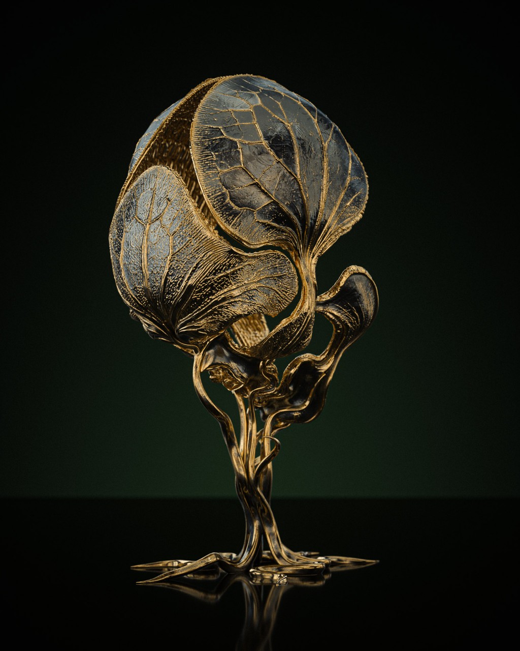 HEDI XANDT — CONTACT